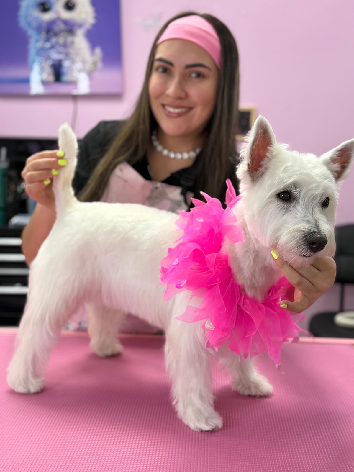 Try Class Dog Grooming in Mississauga
