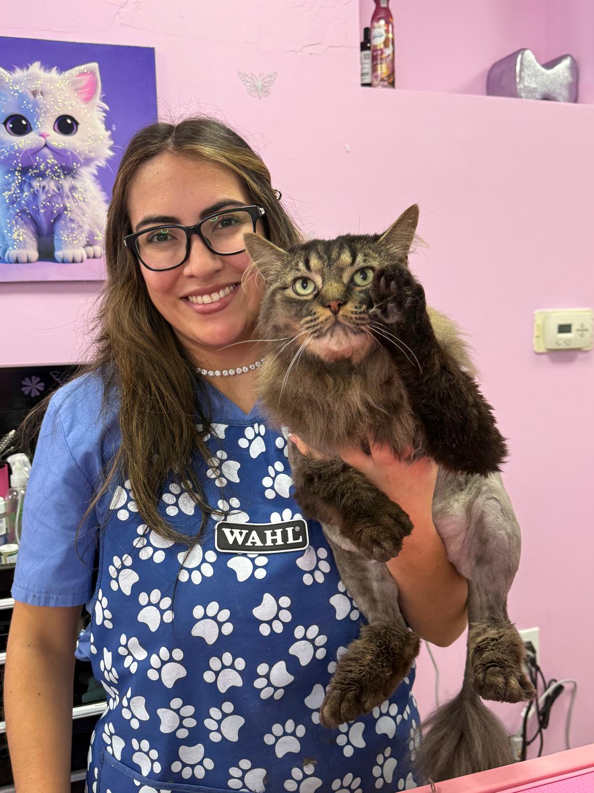 Try Class Dog Grooming in Mississauga