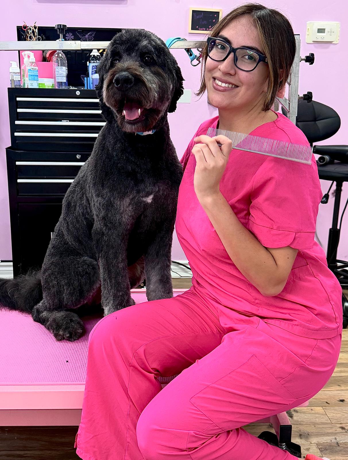 Try Class Dog Grooming in Mississauga