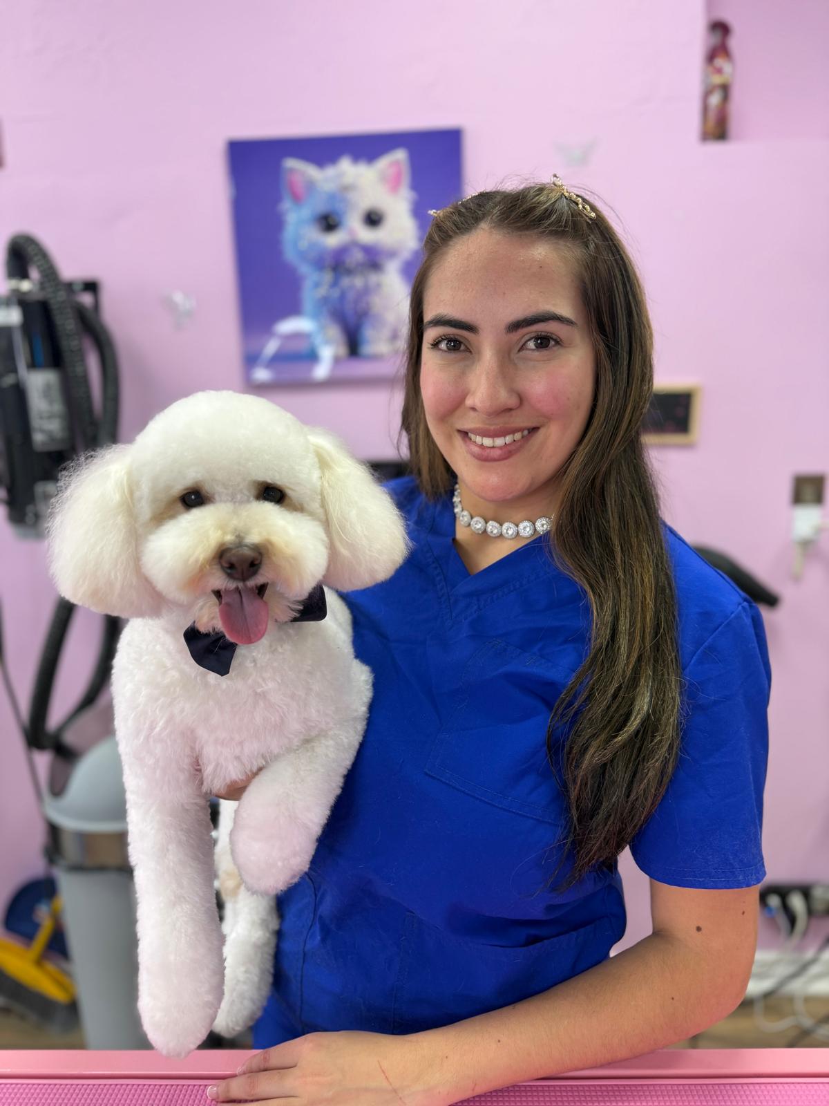 Try Class Dog Grooming in Mississauga
